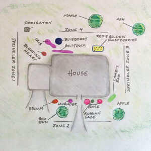 Make a Landscaping and Yard Map for Future Owners – Mother Earth News